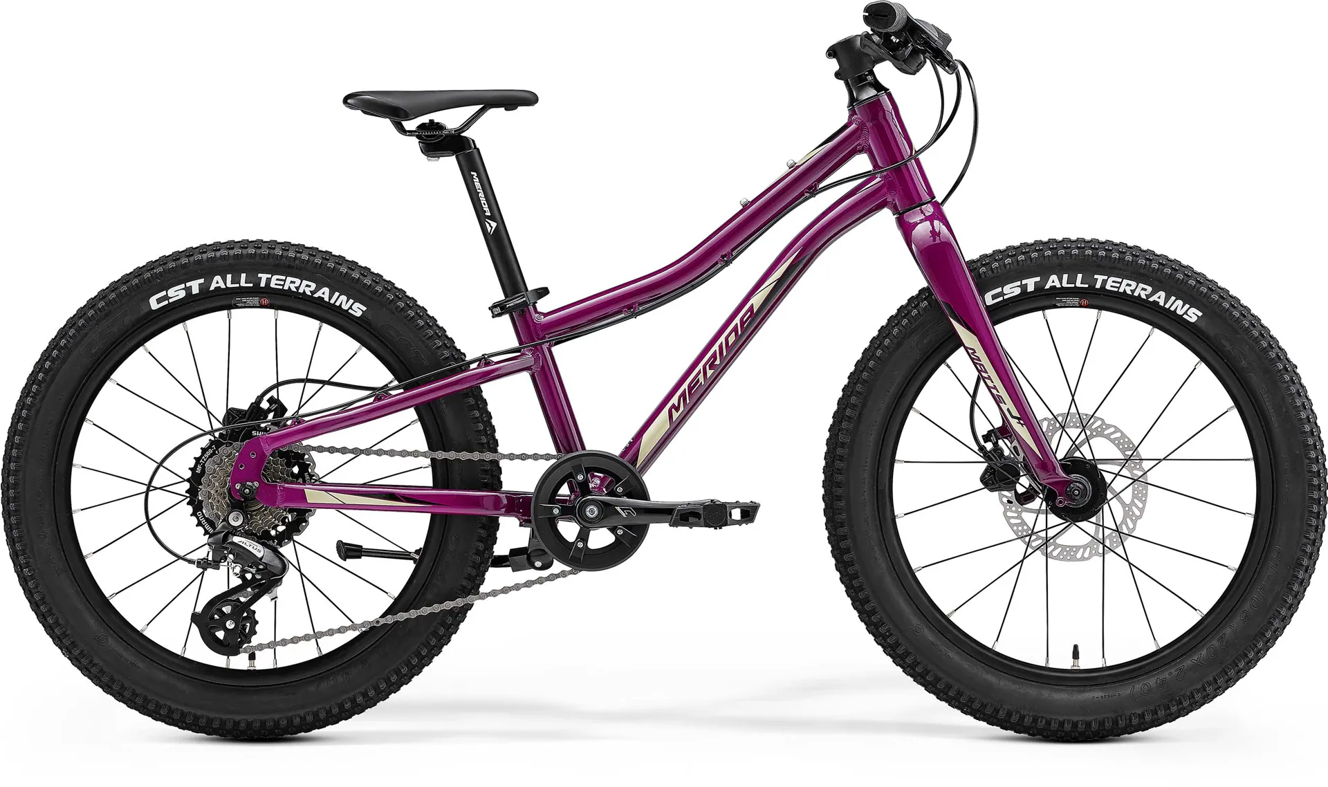 2022 Merida Kids Matts J.20+MY22 Bike - Purple - Run and Ride